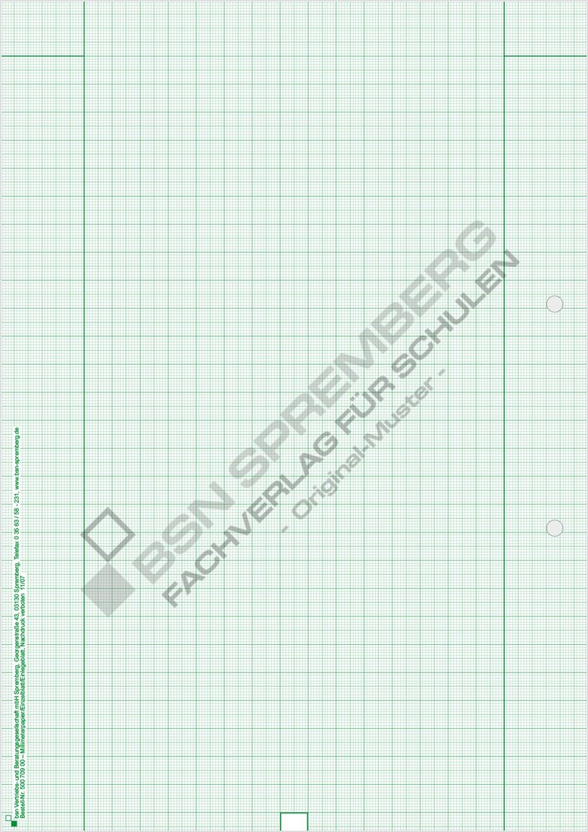 Prüfungspapier Einzelblatt Millimeterpapier A4 - BSN SPREMBERG - Fach