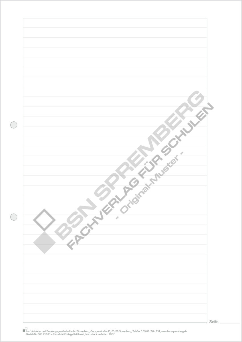 Prüfungspapier Einzelblatt A4 ohne Kopfteil liniert Kanzleipapier - B